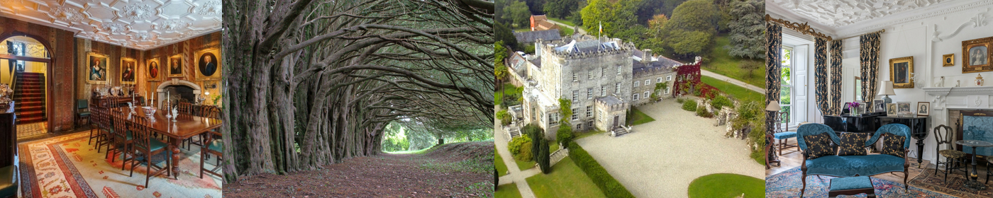 Visit Huntington Castle | Your Daily Adventure