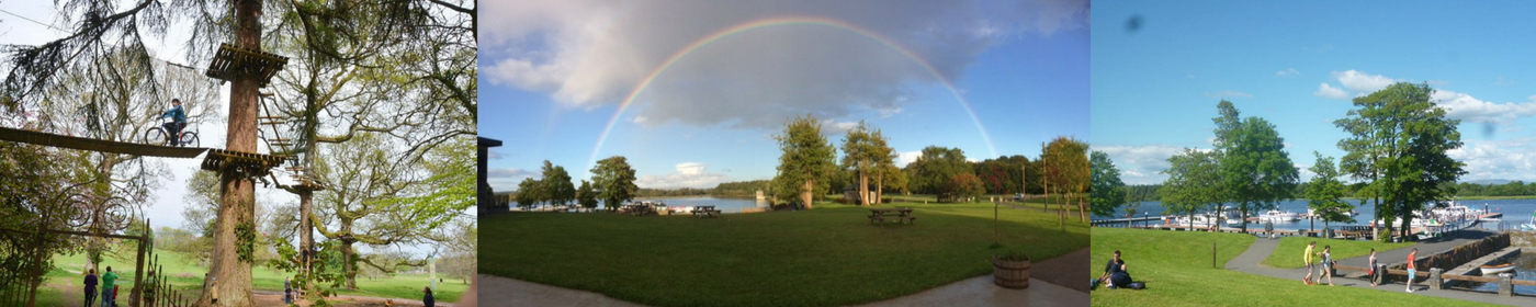 Discover Lough Key Forest and Activity Park | Your Daily Adventure