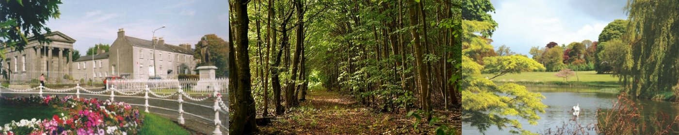 Visit Birr Heritage Town | Your Daily Adventure Guides