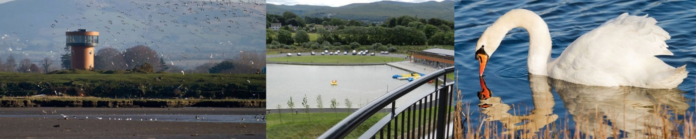 Visit Tralee Bay Wetlands Eco & Activity Park | Your Daily Adventure