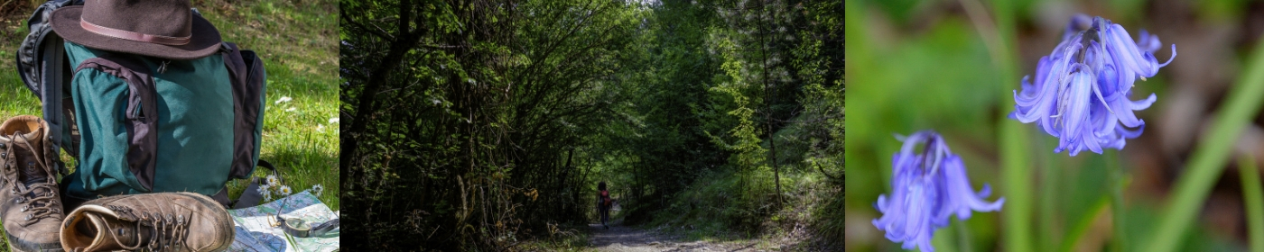 Discover Kilbrittain Castle Walk | Your Daily Adventure