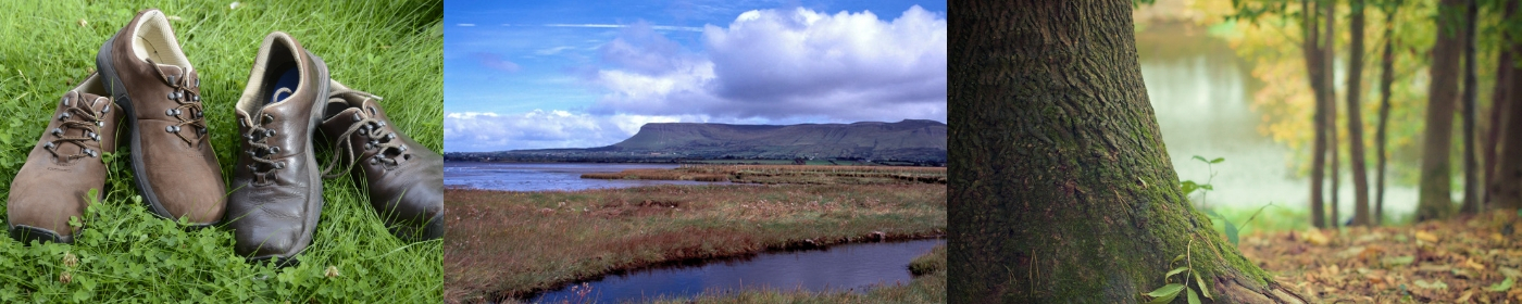 Explore Benbulben Looped Walk | Your Daily Adventure
