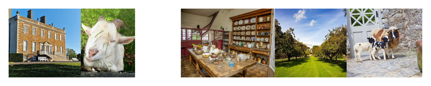 Explore Newbridge House & Farm | Your Daily Adventure