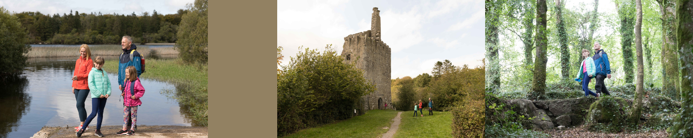 Explore Dromore Wood Nature Reserve | Your Daily Adventure