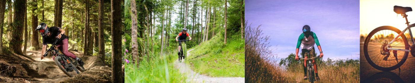 Slieve Bloom Mountain Bike Trails | Your Daily Adventure
