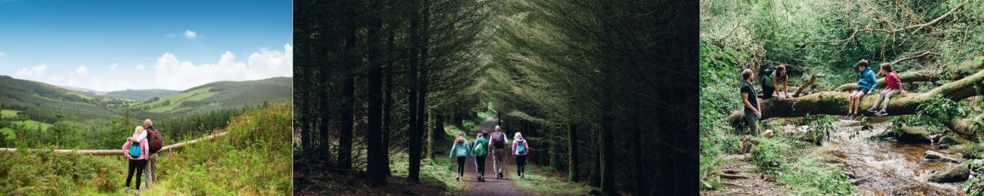 Slieve Bloom Mountains | Your Daily Adventure